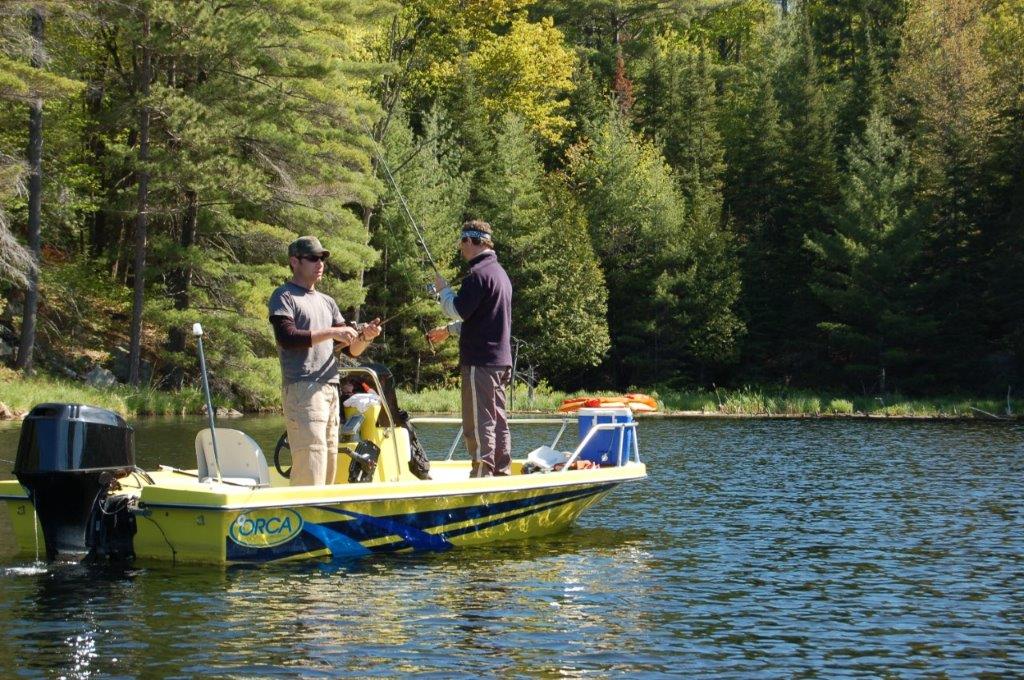 5. Learning Pathways in Fishing